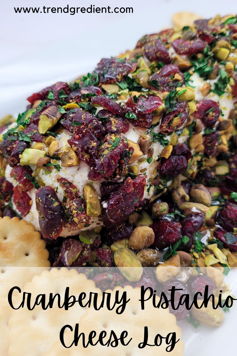 Cranberry Pistachio Cheese Log Recipe - Trendgredient